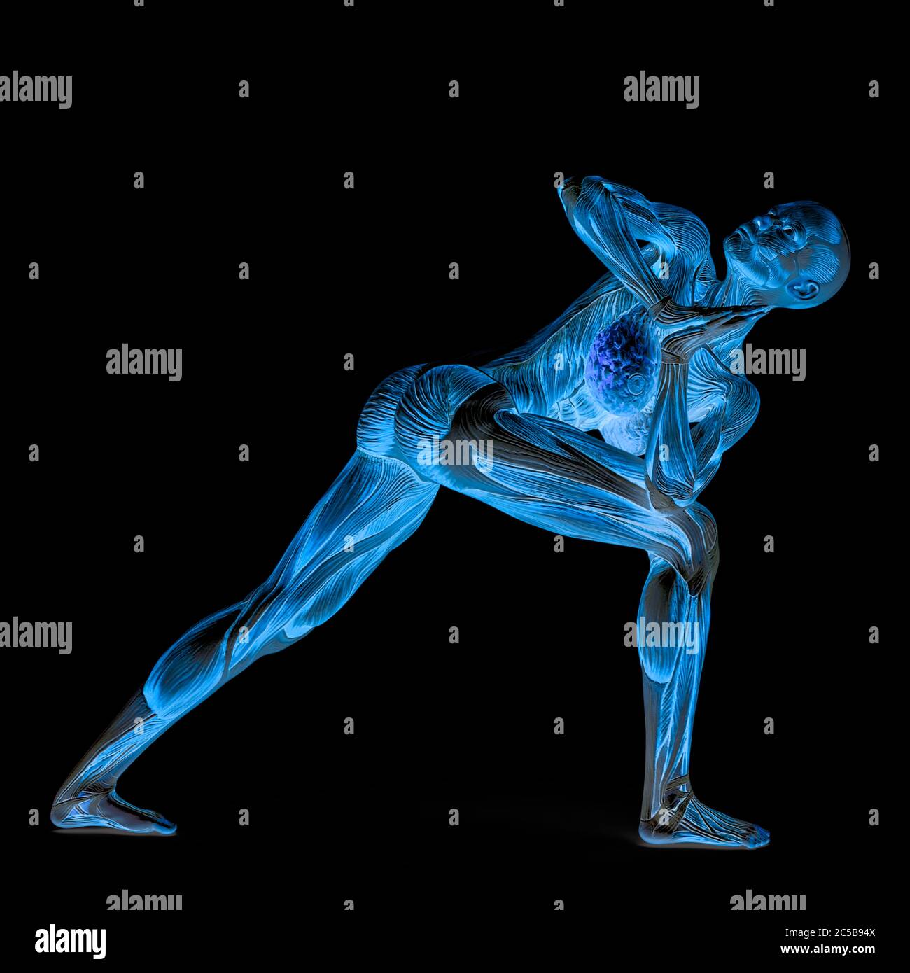 muscle woman doing a reverse triangle pose in white background, 3d ...