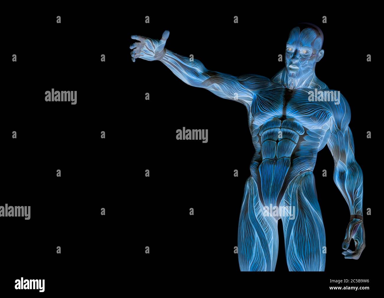 muscleman anatomy heroic body talking in white background with copy ...