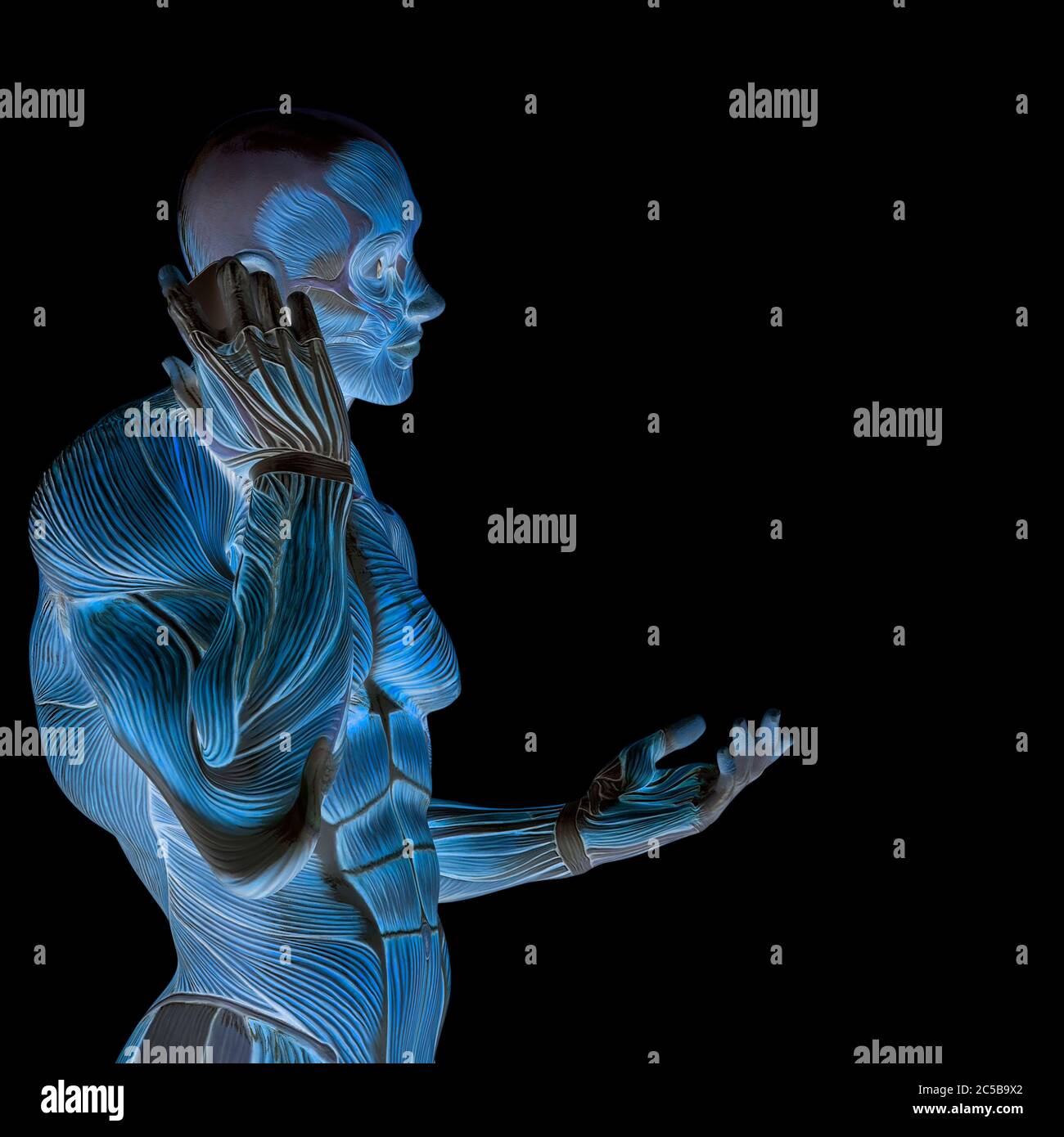 muscleman anatomy heroic body talking on cellphone in white background ...