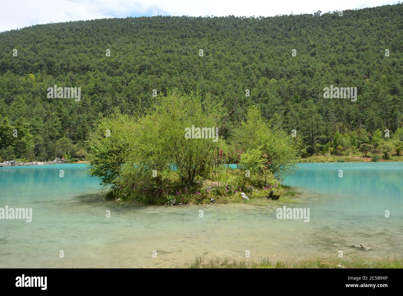 a small island with green plants in the middle of blue lake in the ...
