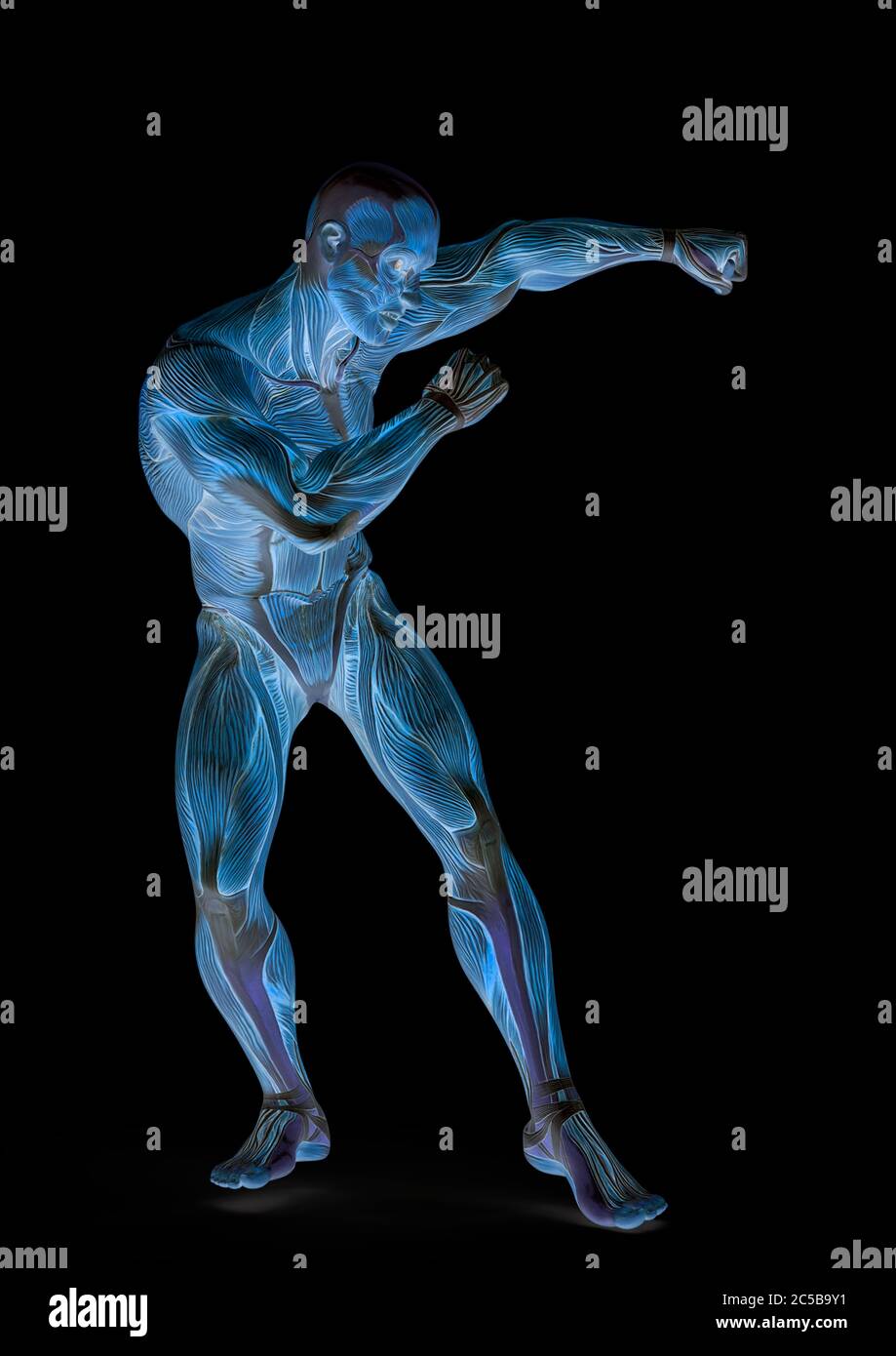 muscleman anatomy heroic body doing a dodge fight pose one in white ...