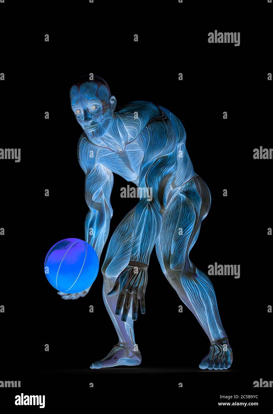 muscleman anatomy heroic body playing basketball in white background ...