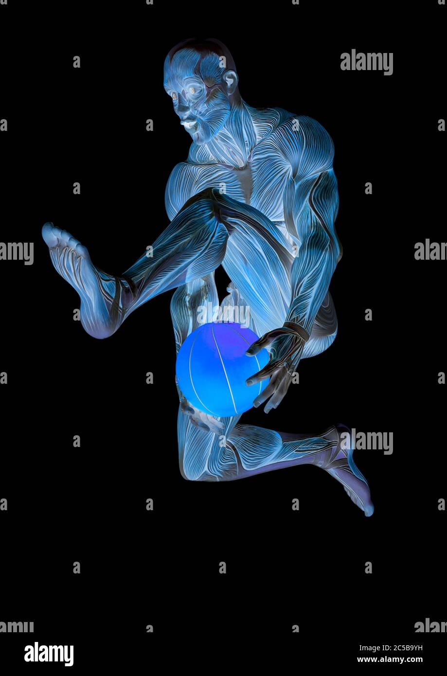 muscleman anatomy heroic body jumping on basketball in white background ...