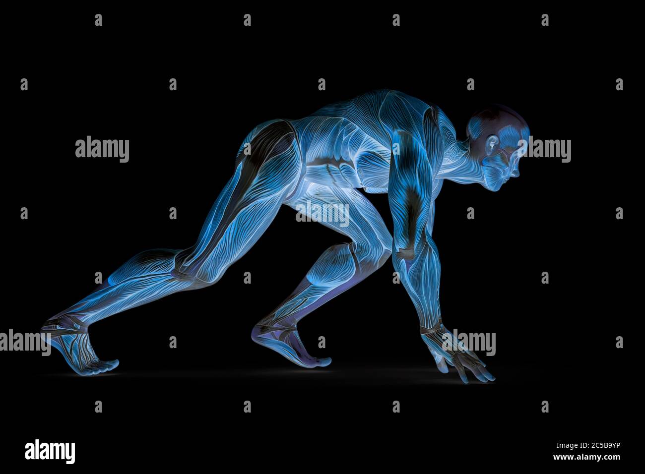 muscleman anatomy heroic body doing a runner pose in white background ...