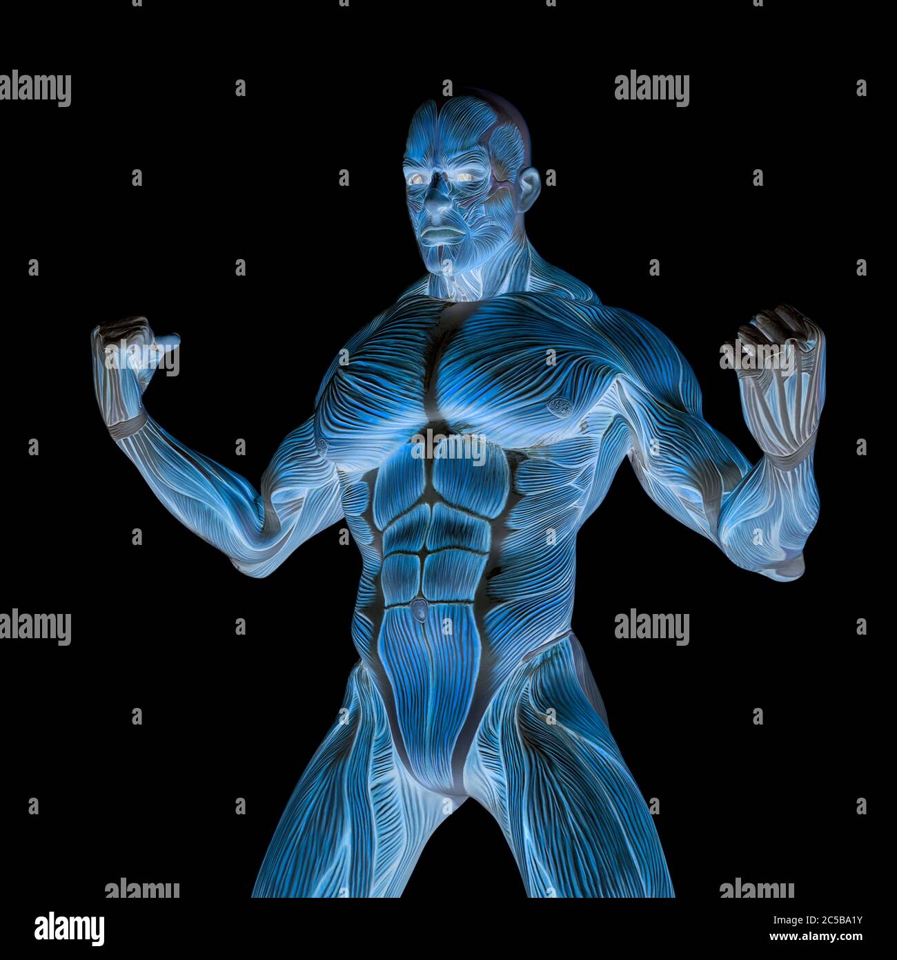 muscleman anatomy heroic body is angry in white background, 3d ...
