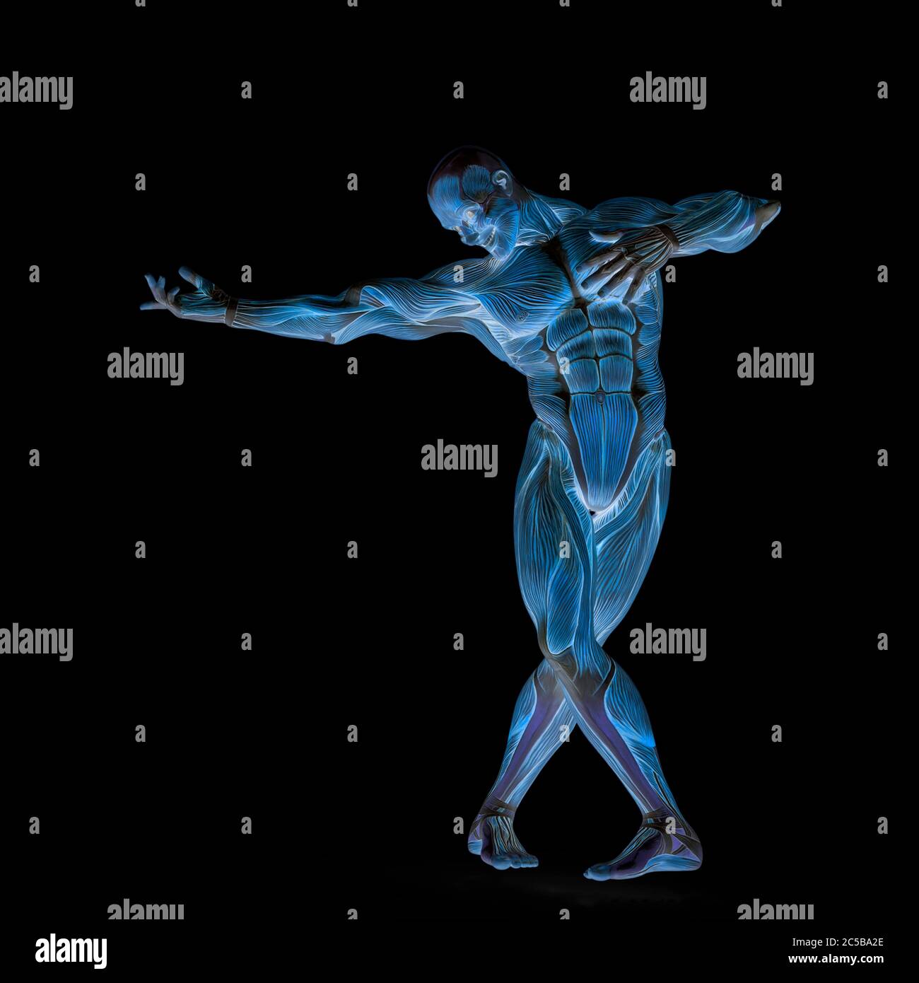 muscleman anatomy heroic body dancing pose one in white background ...