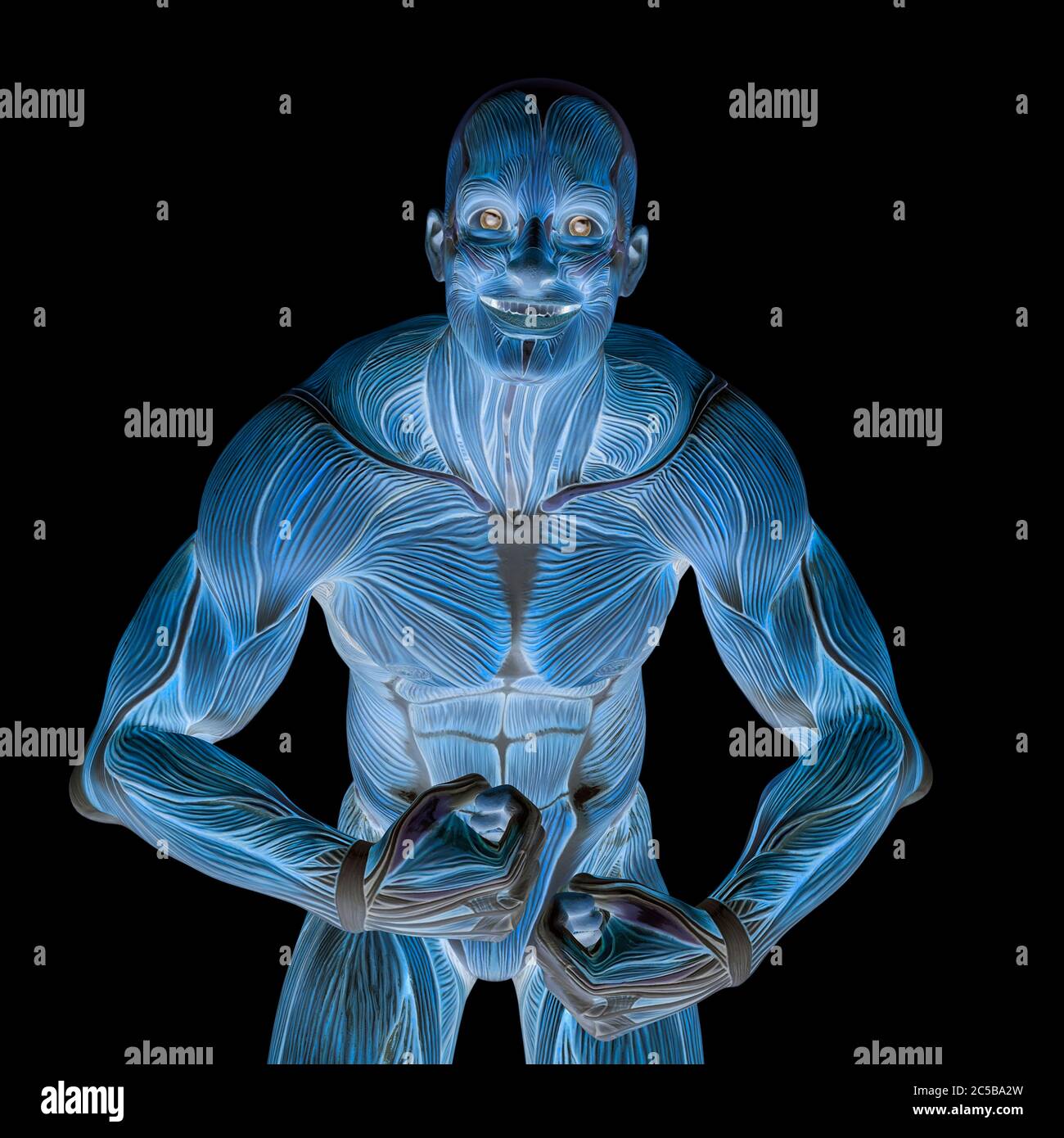 muscleman anatomy heroic body doing a bodybuilder pose three in white ...