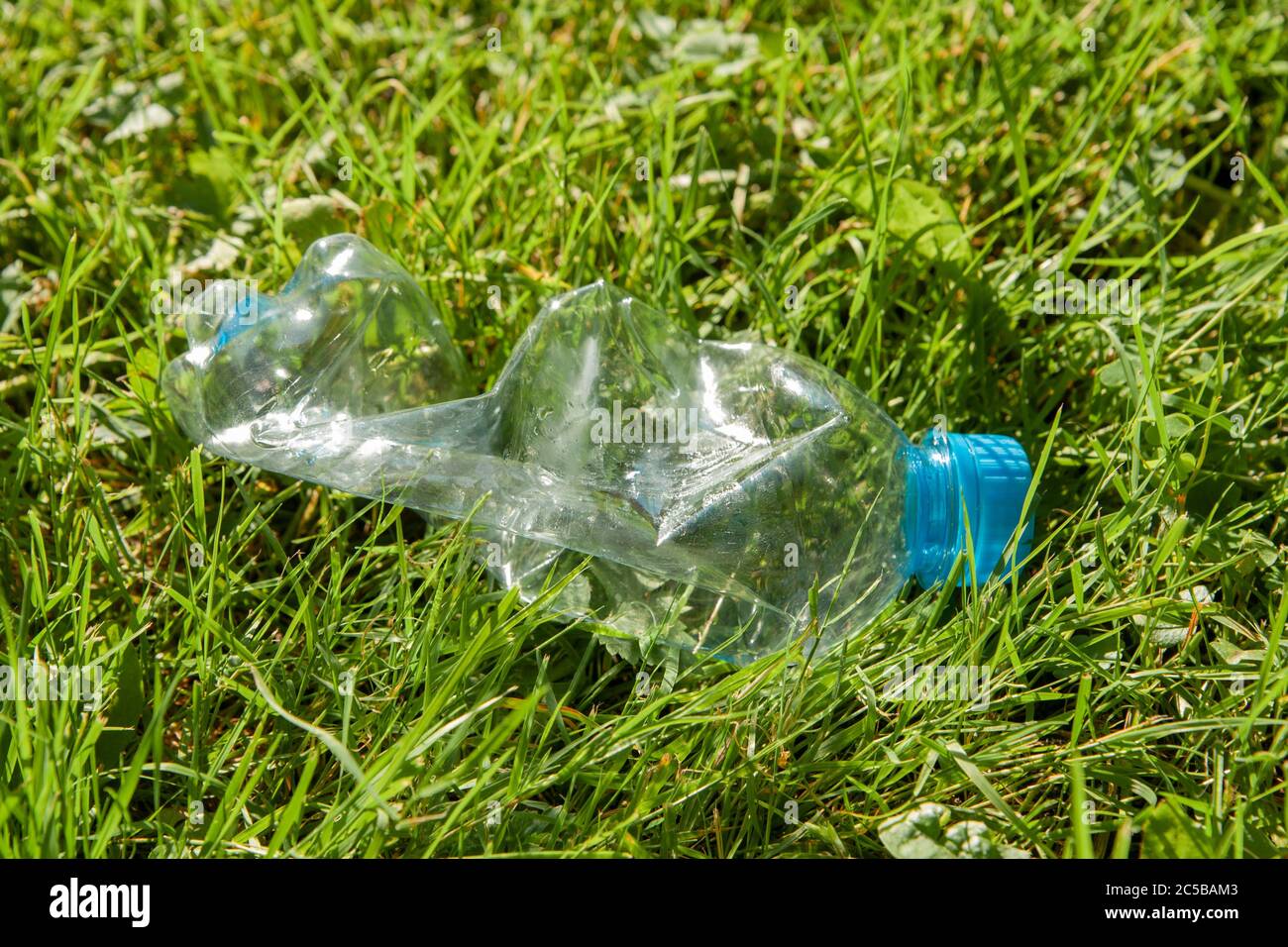 A plastic bottle lies in the grass. Environmental pollution concept ...