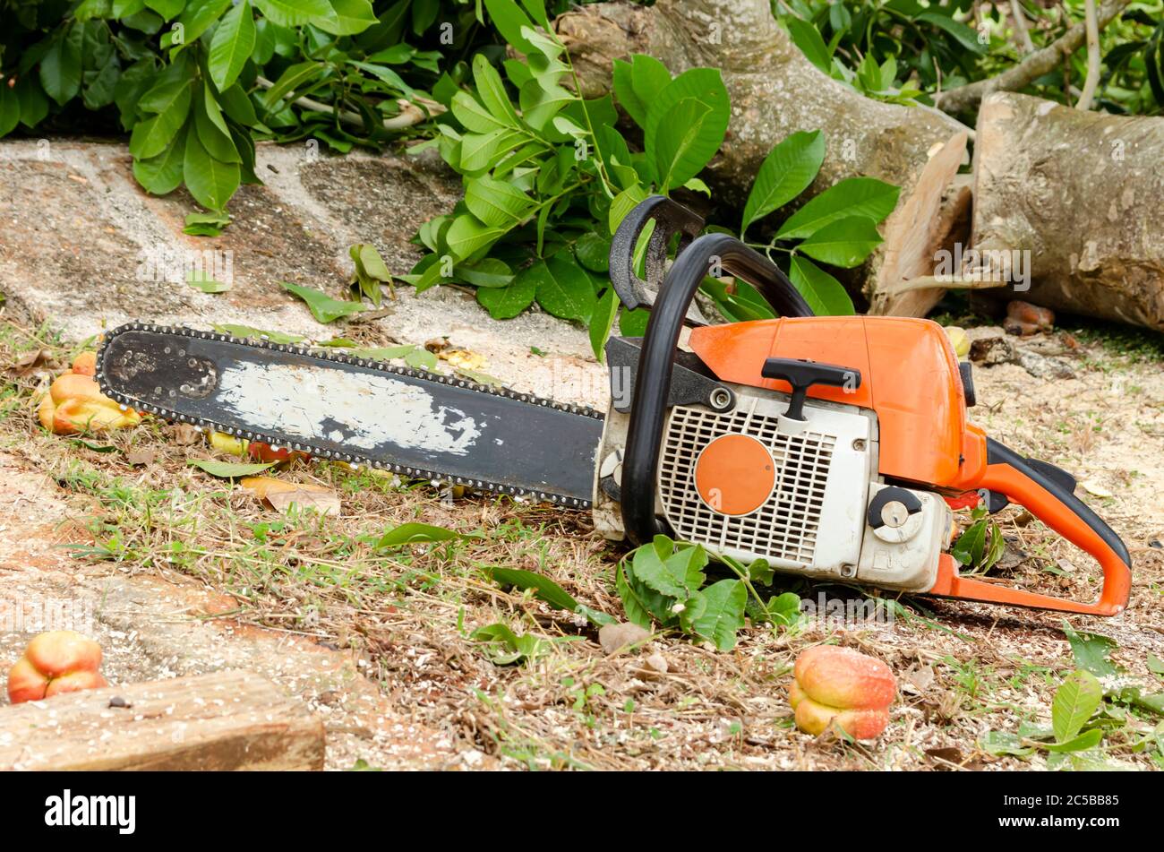 Log saws hi-res stock photography and images - Alamy