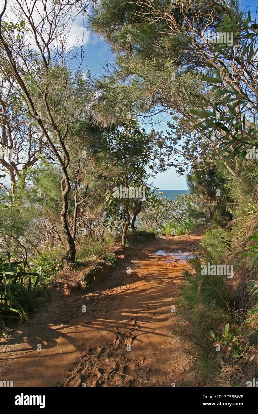 Noosa National Park, Queensland Stock Photo - Alamy