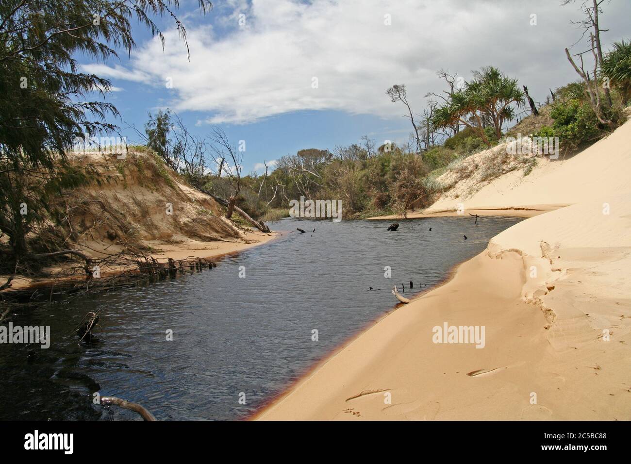 Tea Tree Creek, Fraser Island Stock Photo - Alamy