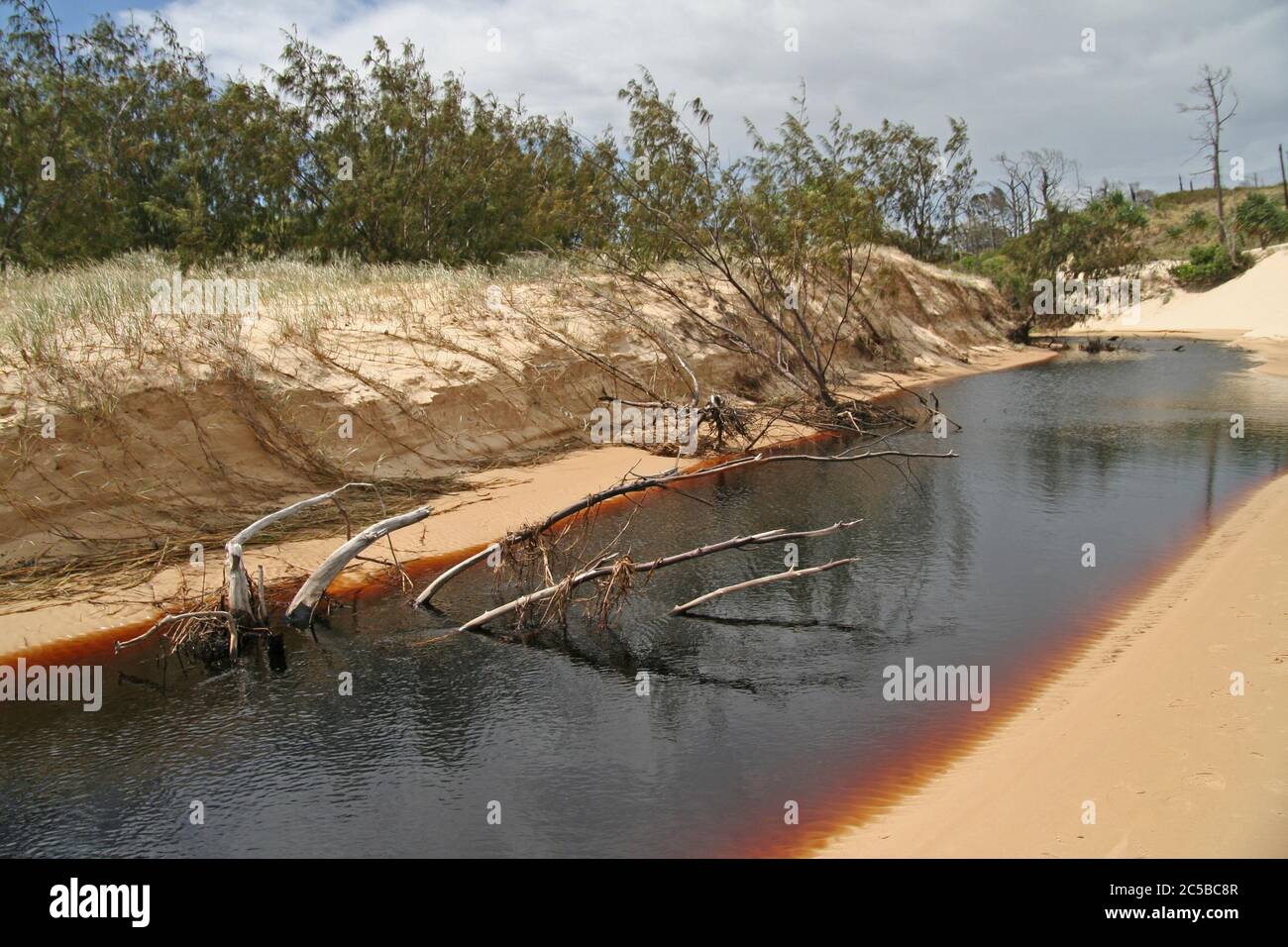 Tea Tree Creek, Fraser Island Stock Photo - Alamy