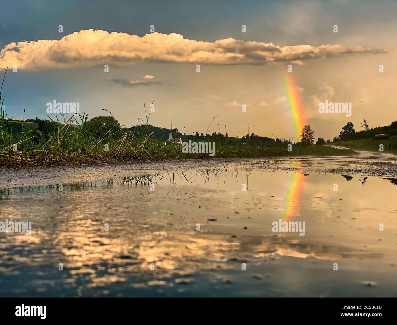 Alpine climate photos hi-res stock photography and images - Alamy