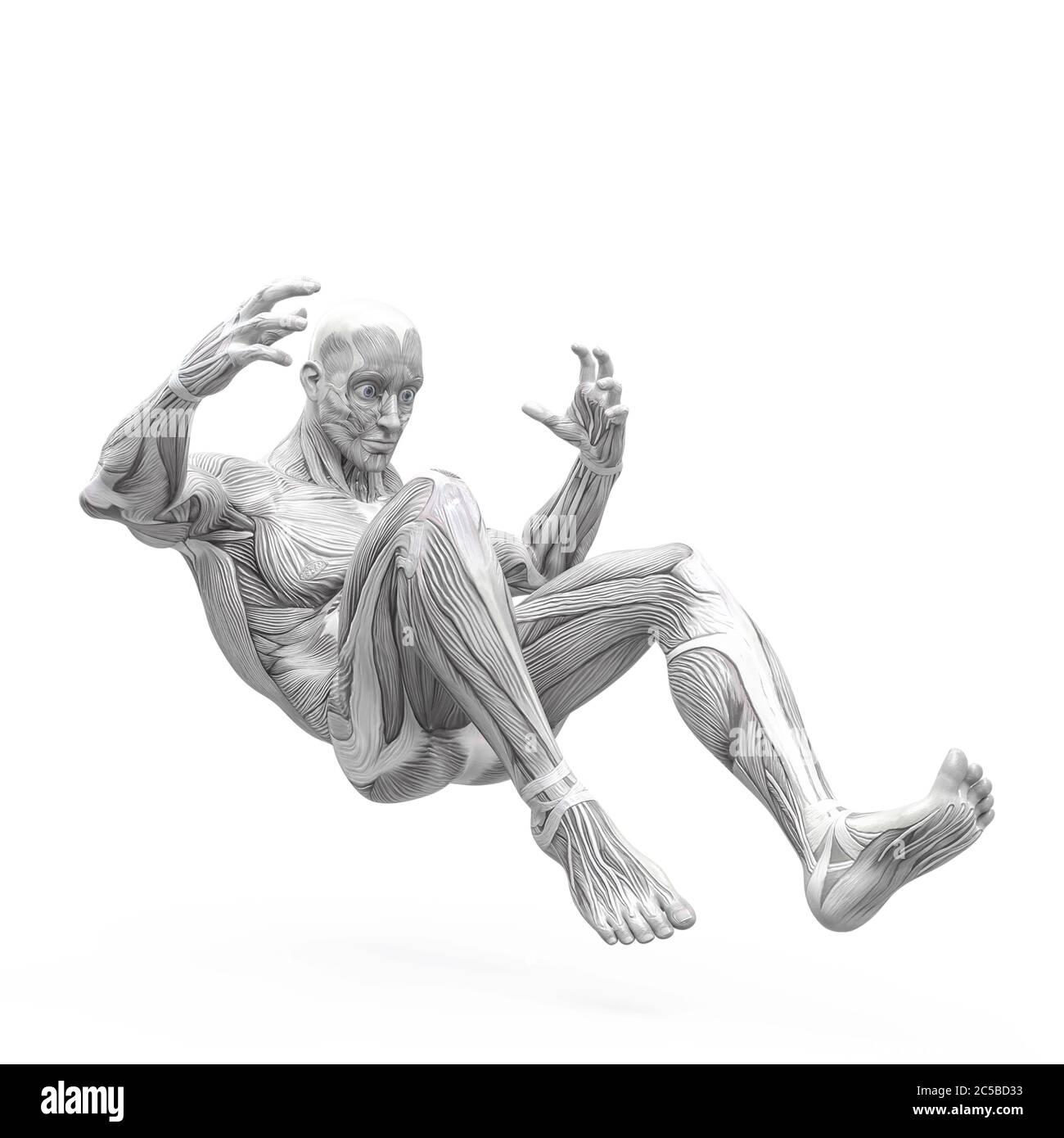 Falling Pose Drawing