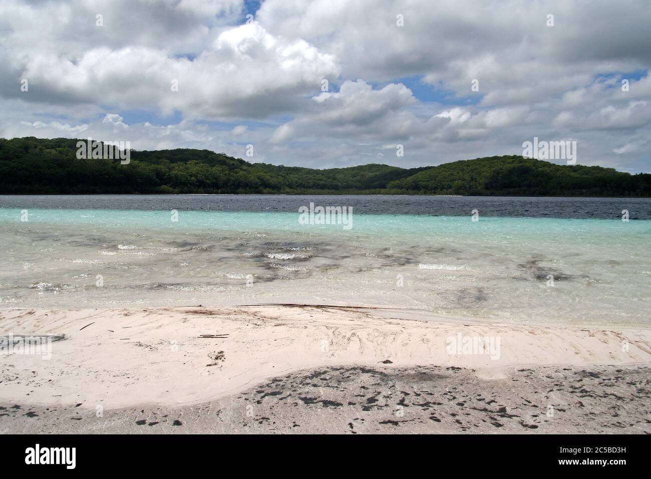 Lake Birrabeen, Fraser Island Stock Photo - Alamy