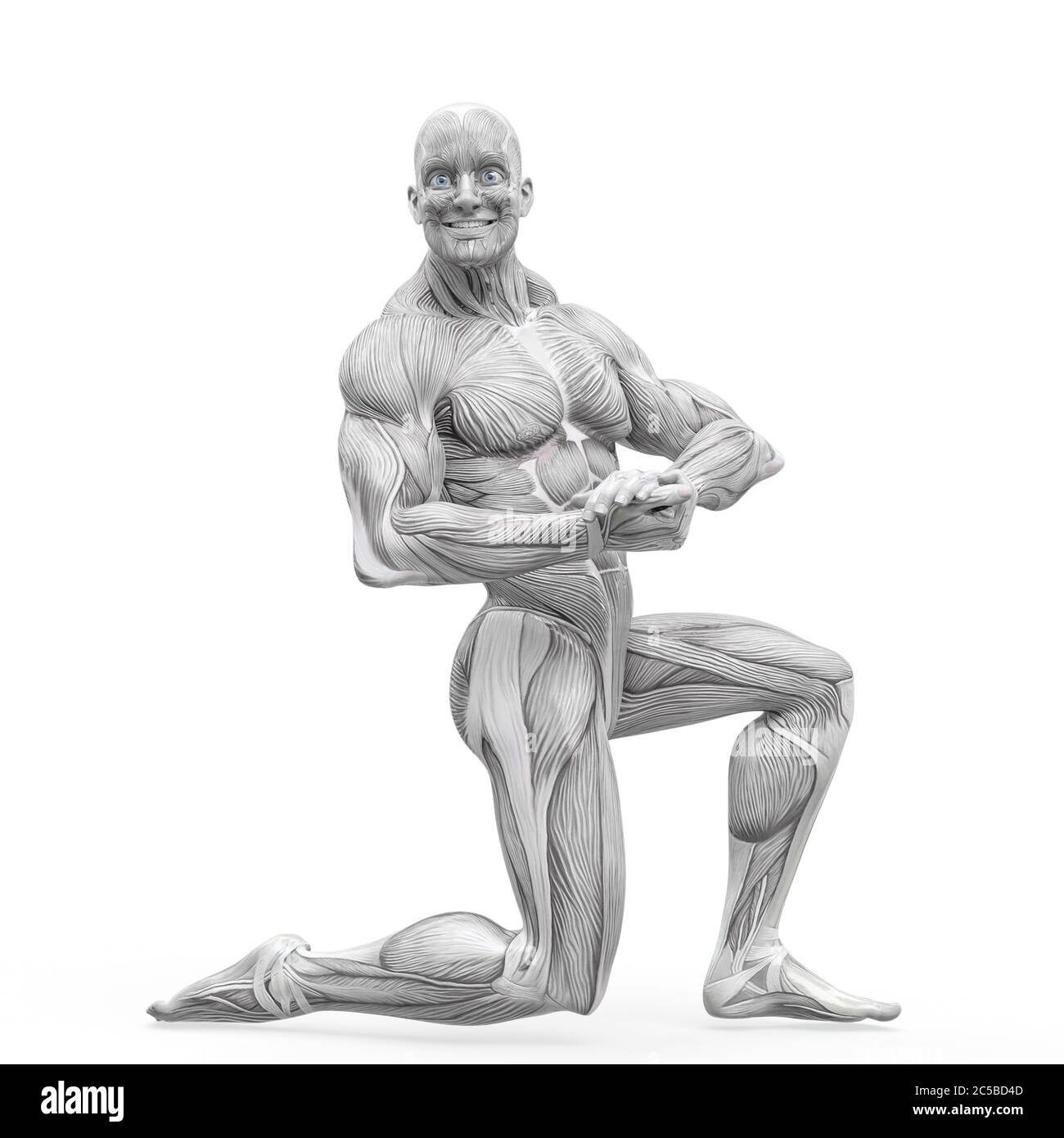 muscleman anatomy heroic body doing a bodybuilder pose five in white ...