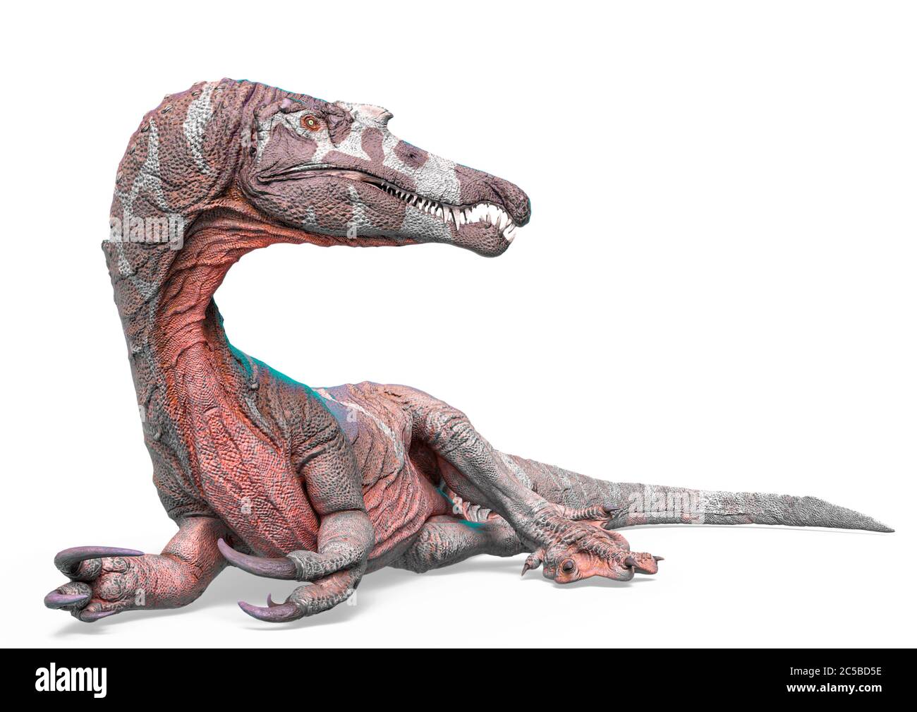 spinosaurus resting in white background, 3d illustration Stock Photo ...