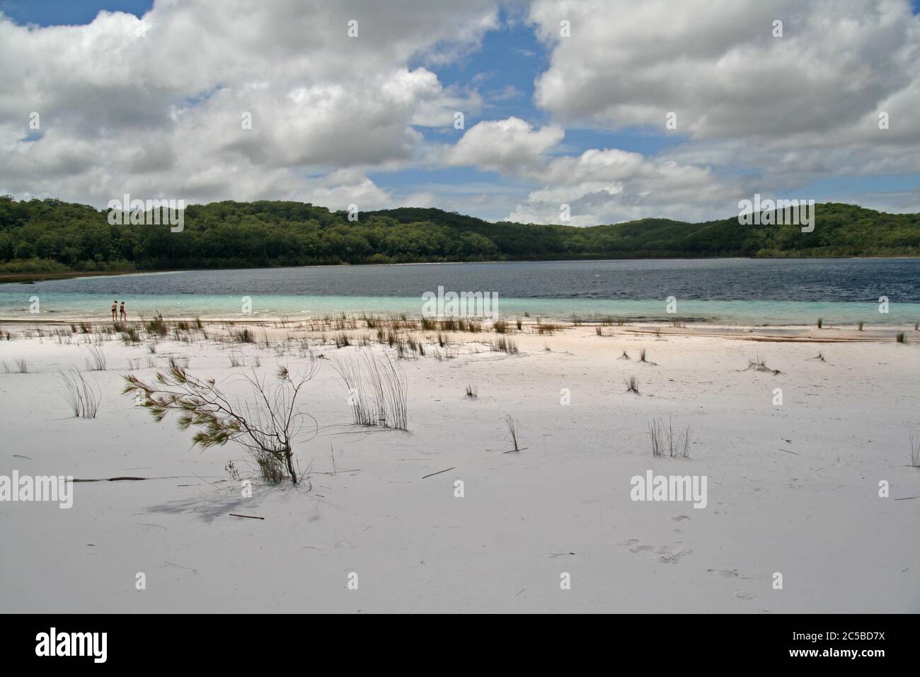 Lake Birrabeen, Fraser Island Stock Photo - Alamy