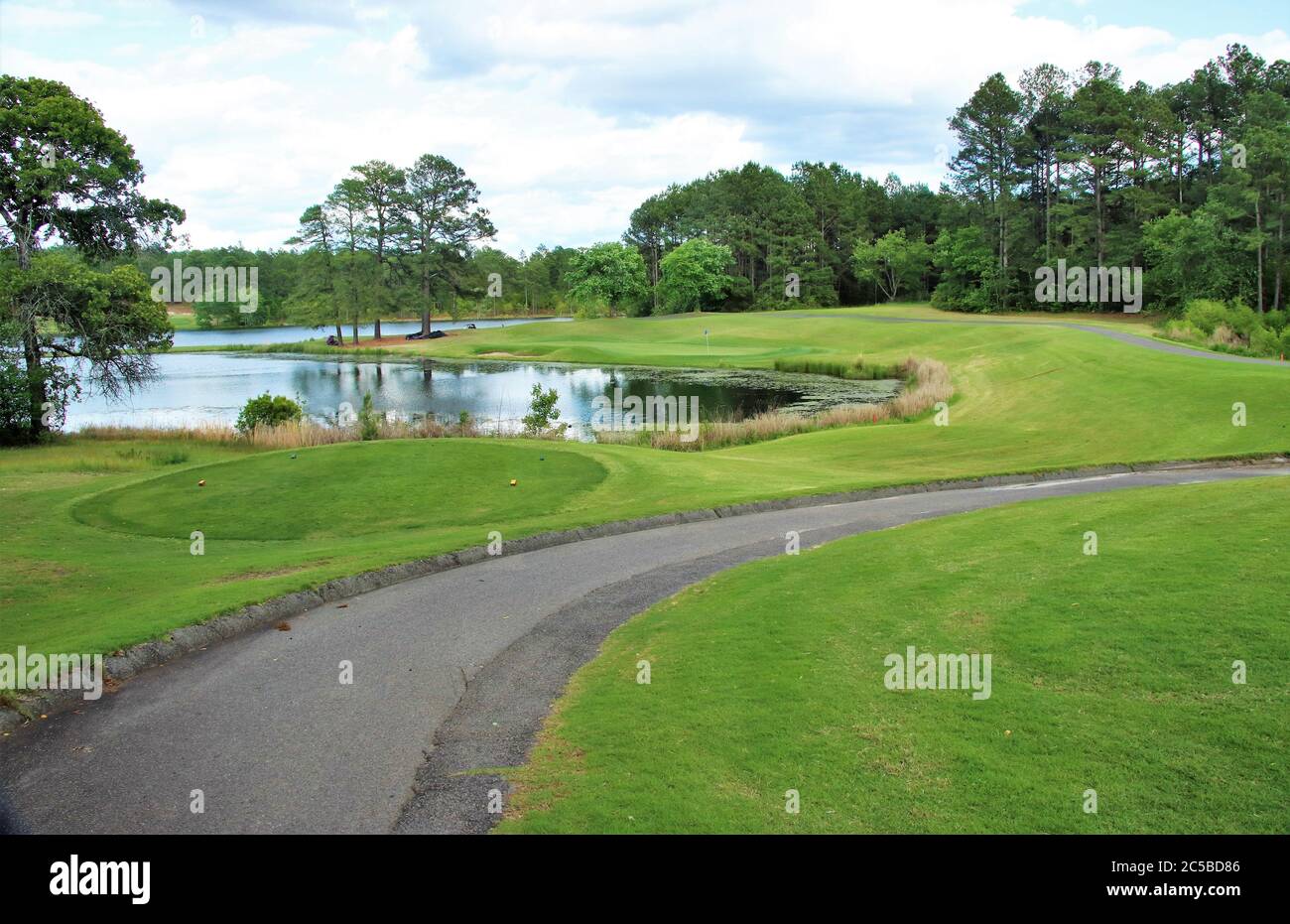 Golf course greens with green grass, trees and blue sky background ...