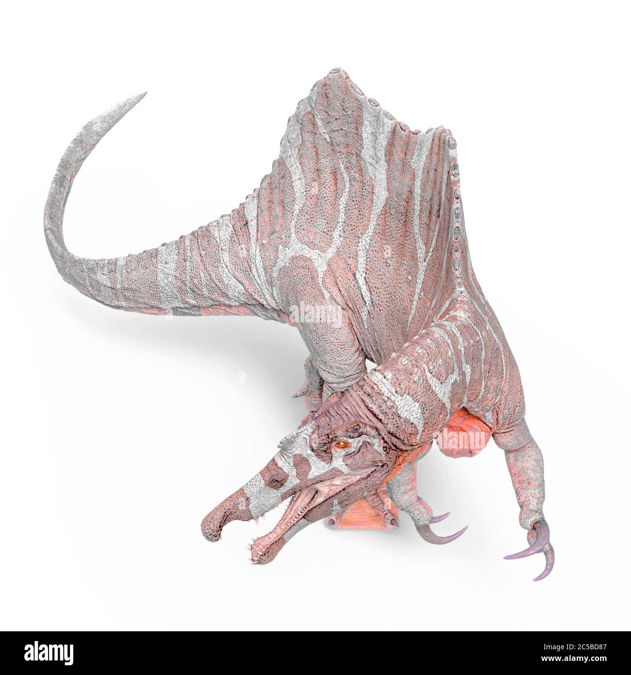 spinosaurus top view in white background, 3d illustration Stock Photo ...