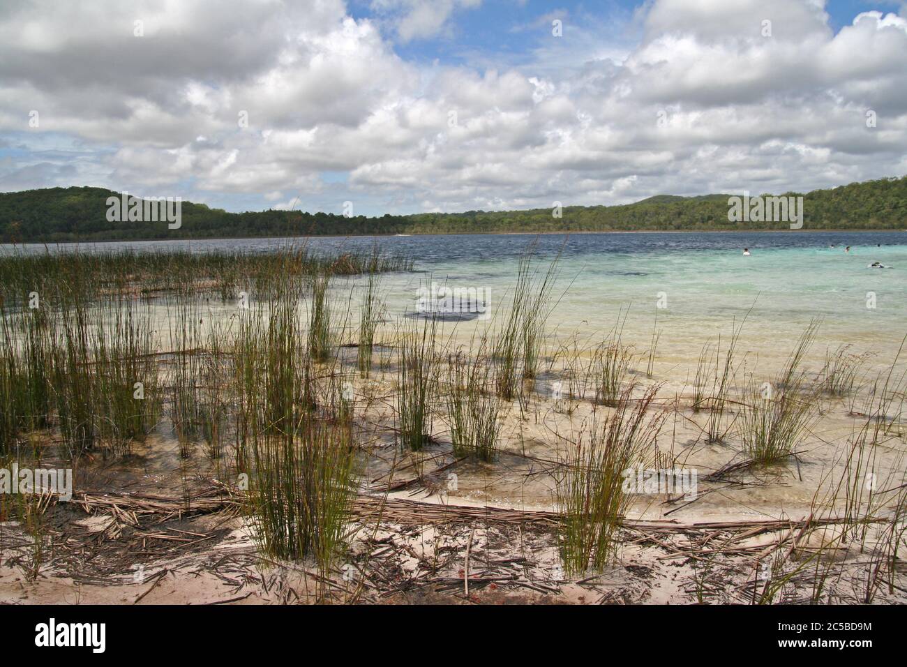 Lake Birrabeen, Fraser Island Stock Photo - Alamy