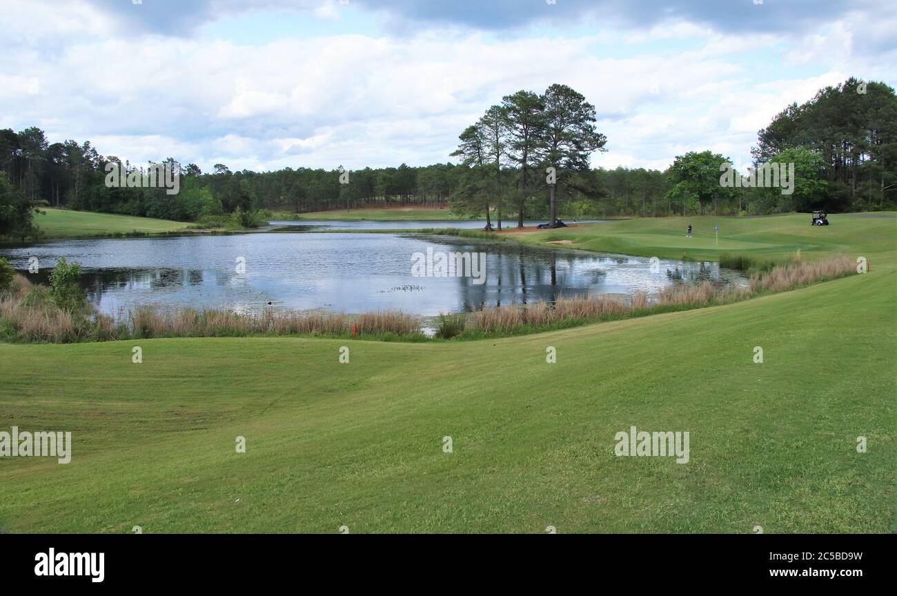 Green grass landscape with a small pond and trees Stock Photo - Alamy