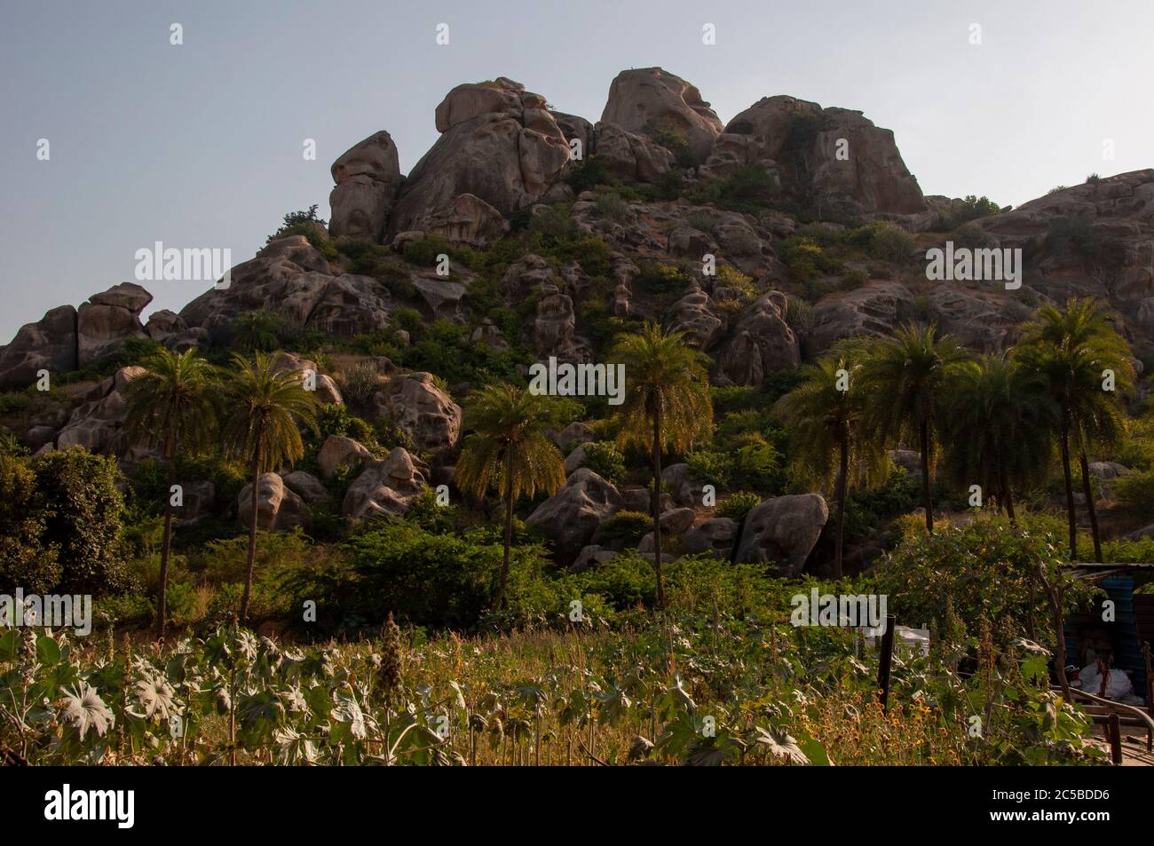landscape of Mount Abu of Rajasthan Stock Photo - Alamy
