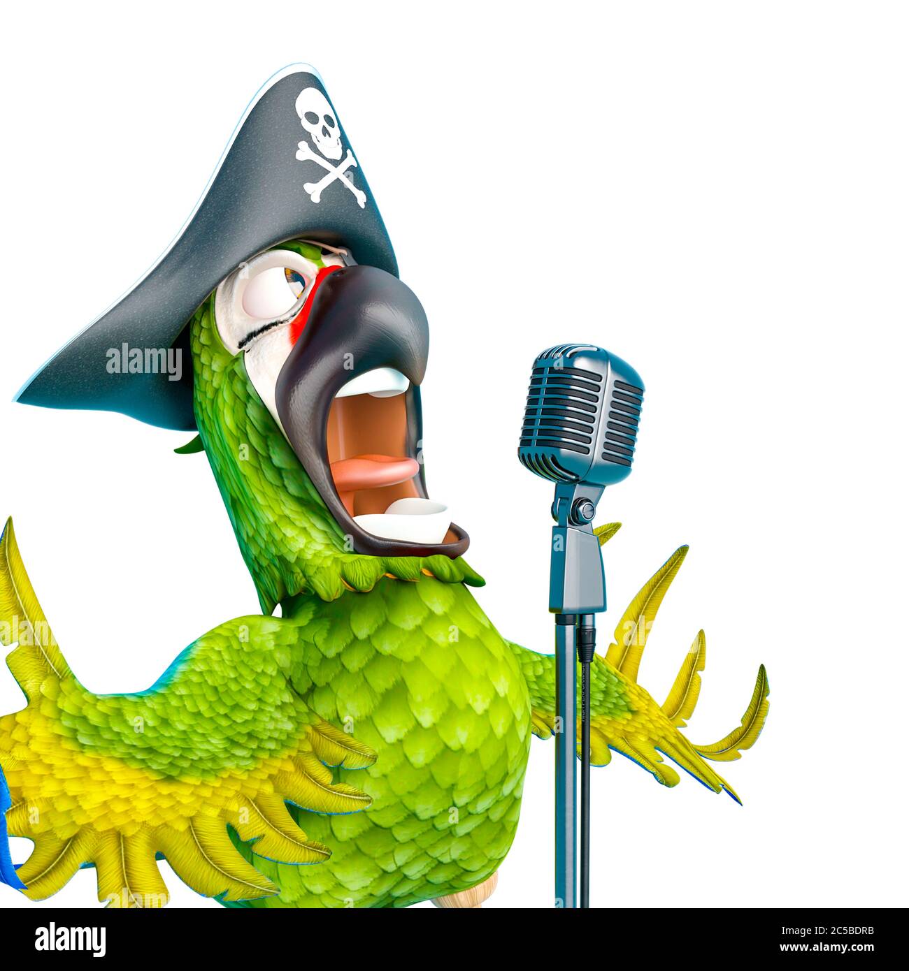 parrot pirate is singing a song, 3d illustration Stock Photo - Alamy