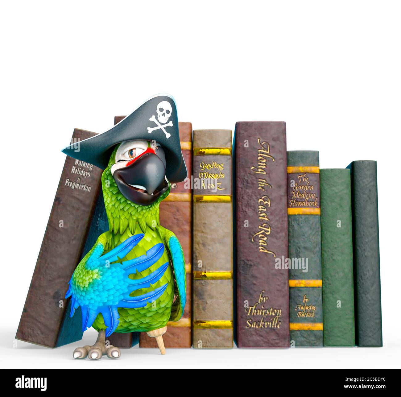 parrot pirate is in front of the books, 3d illustration Stock Photo - Alamy