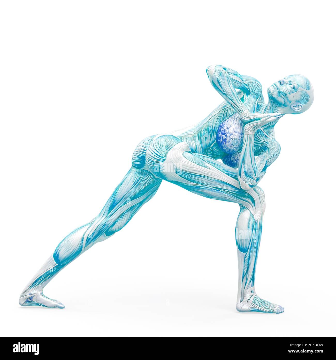 muscle woman doing a reverse triangle pose in white background, 3d ...