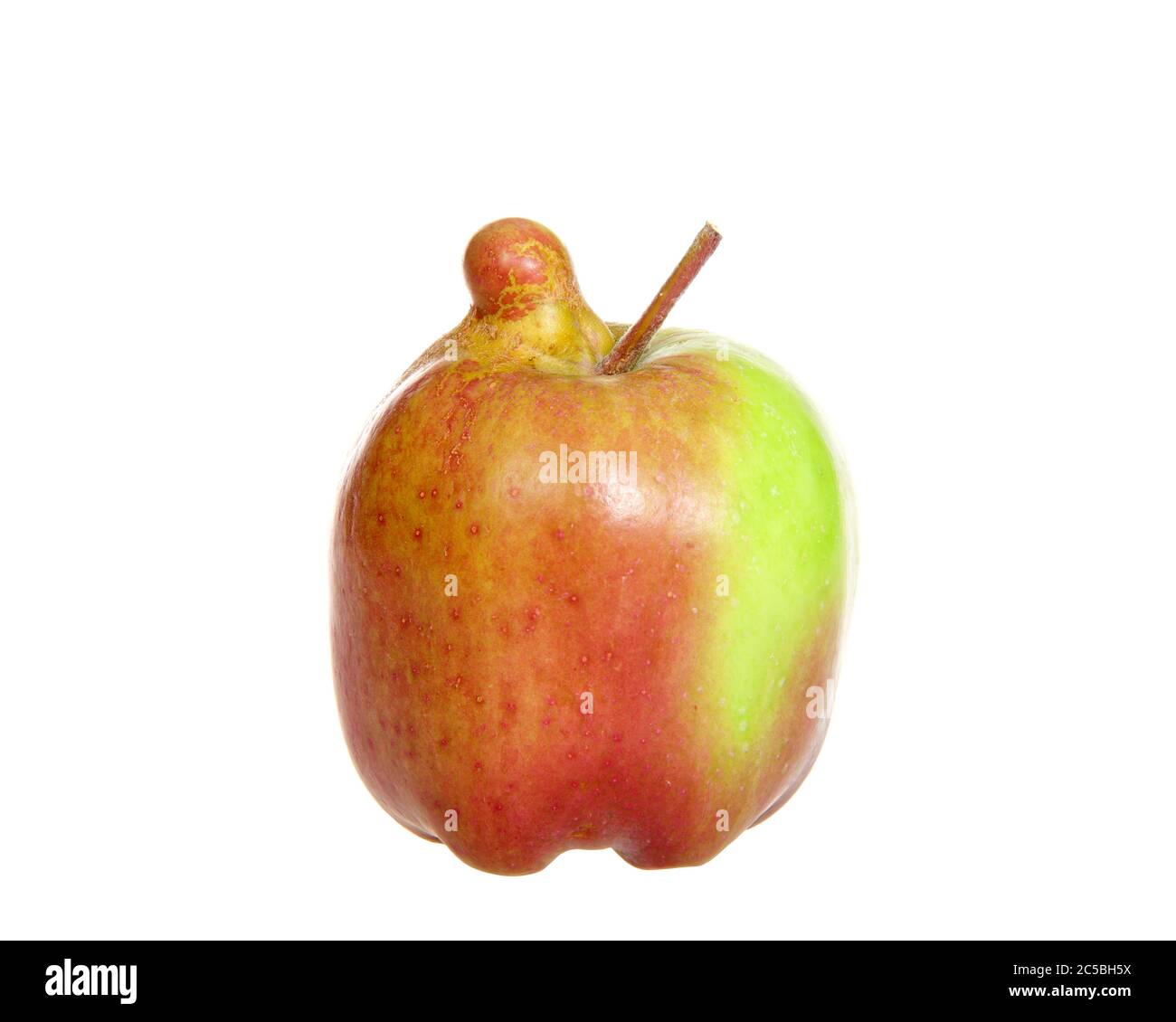 Quality fruit Cut Out Stock Images & Pictures - Alamy