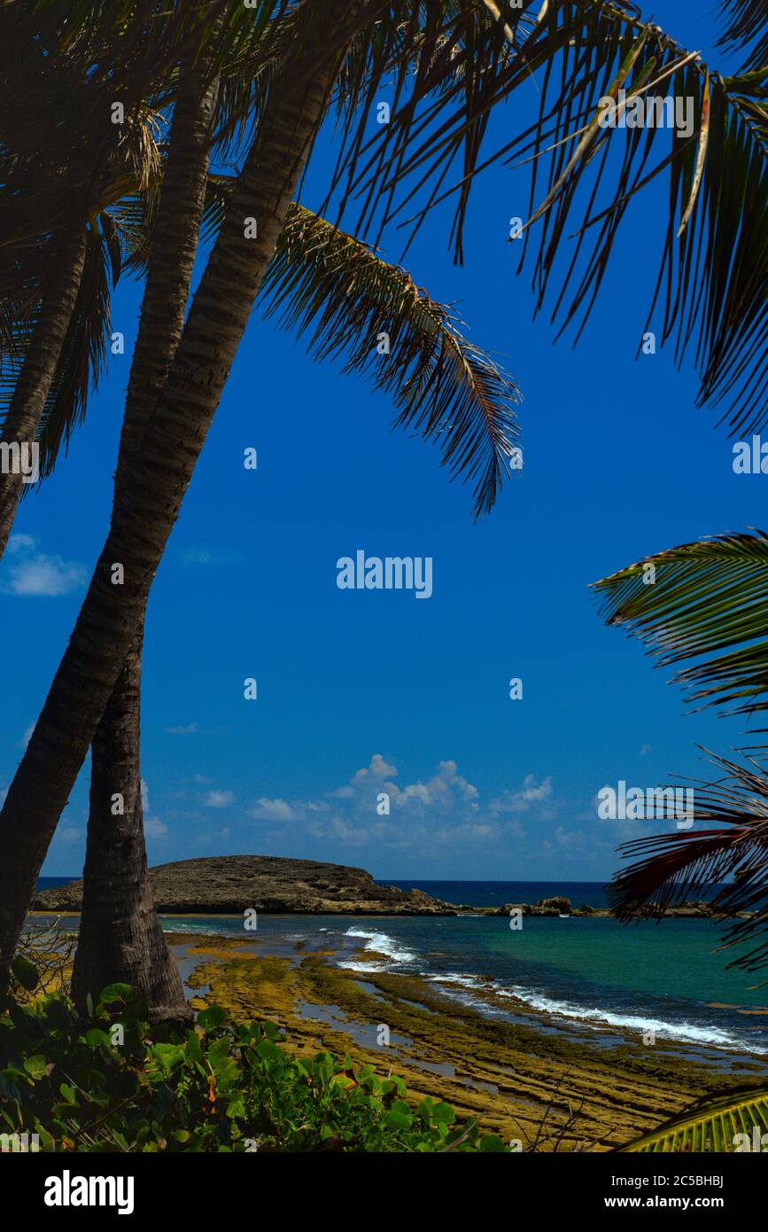 Puerto Rico Coast Stock Photo - Alamy