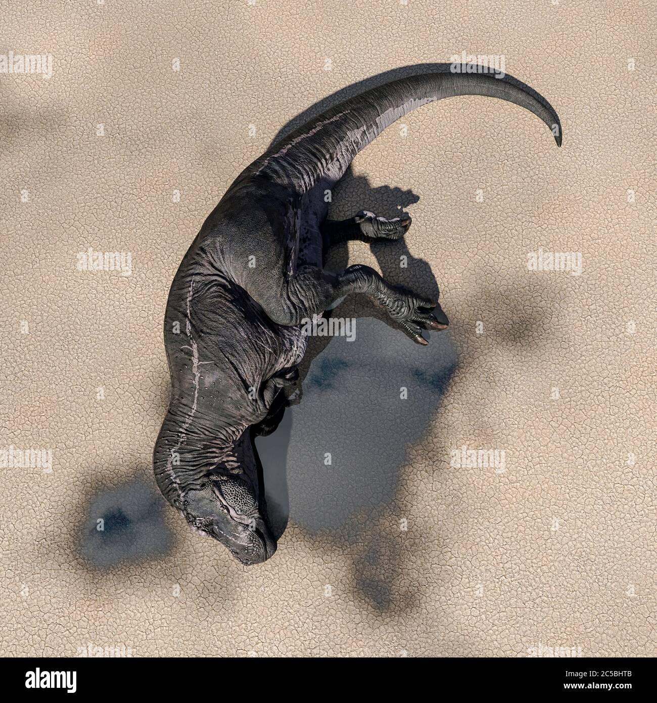 tyrannosaurus rex is dead on desert drone view, 3d illustration Stock ...