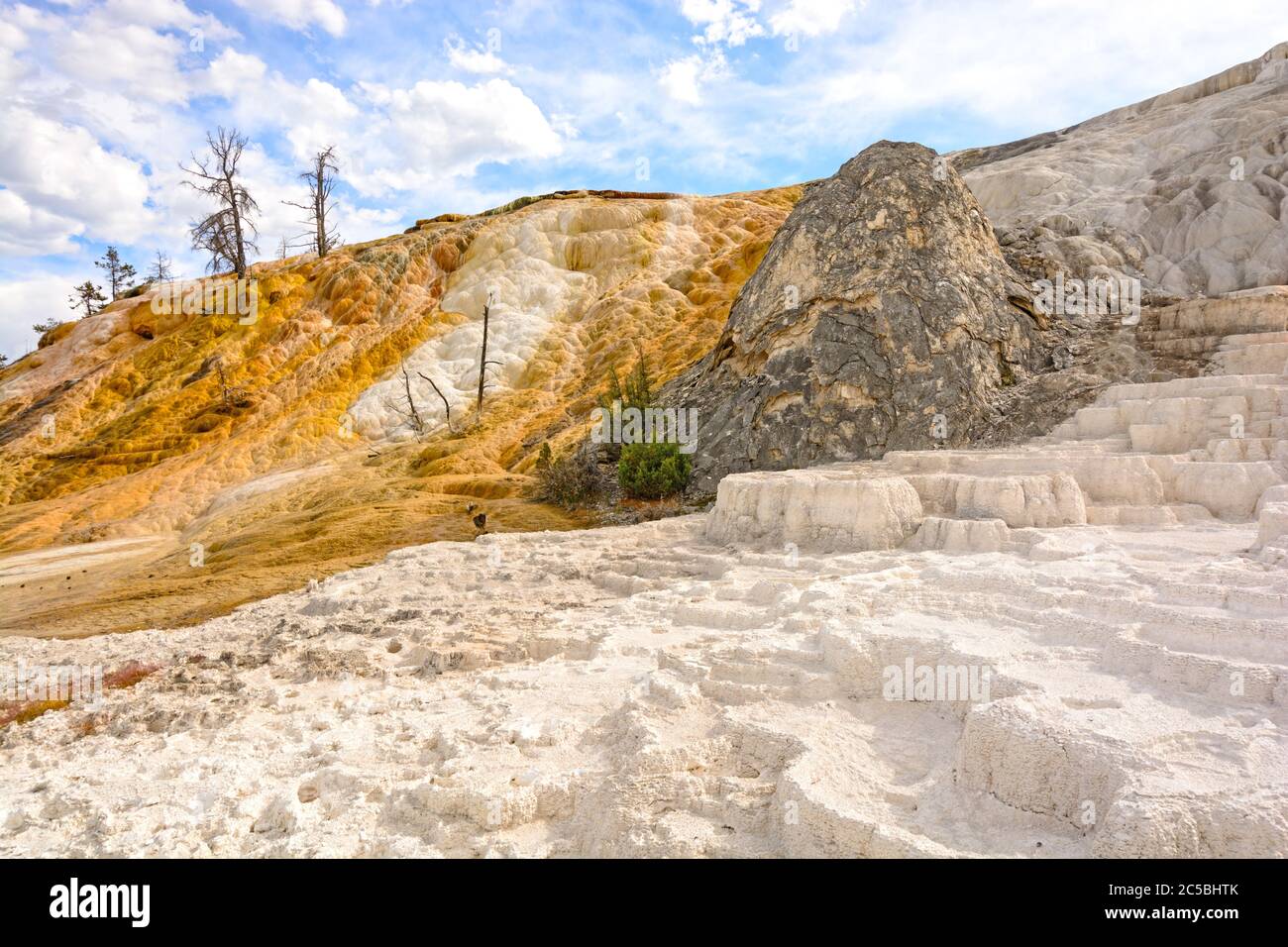Colorful Deposits on Limestone Terraces on Mammoth Hits Springs in ...