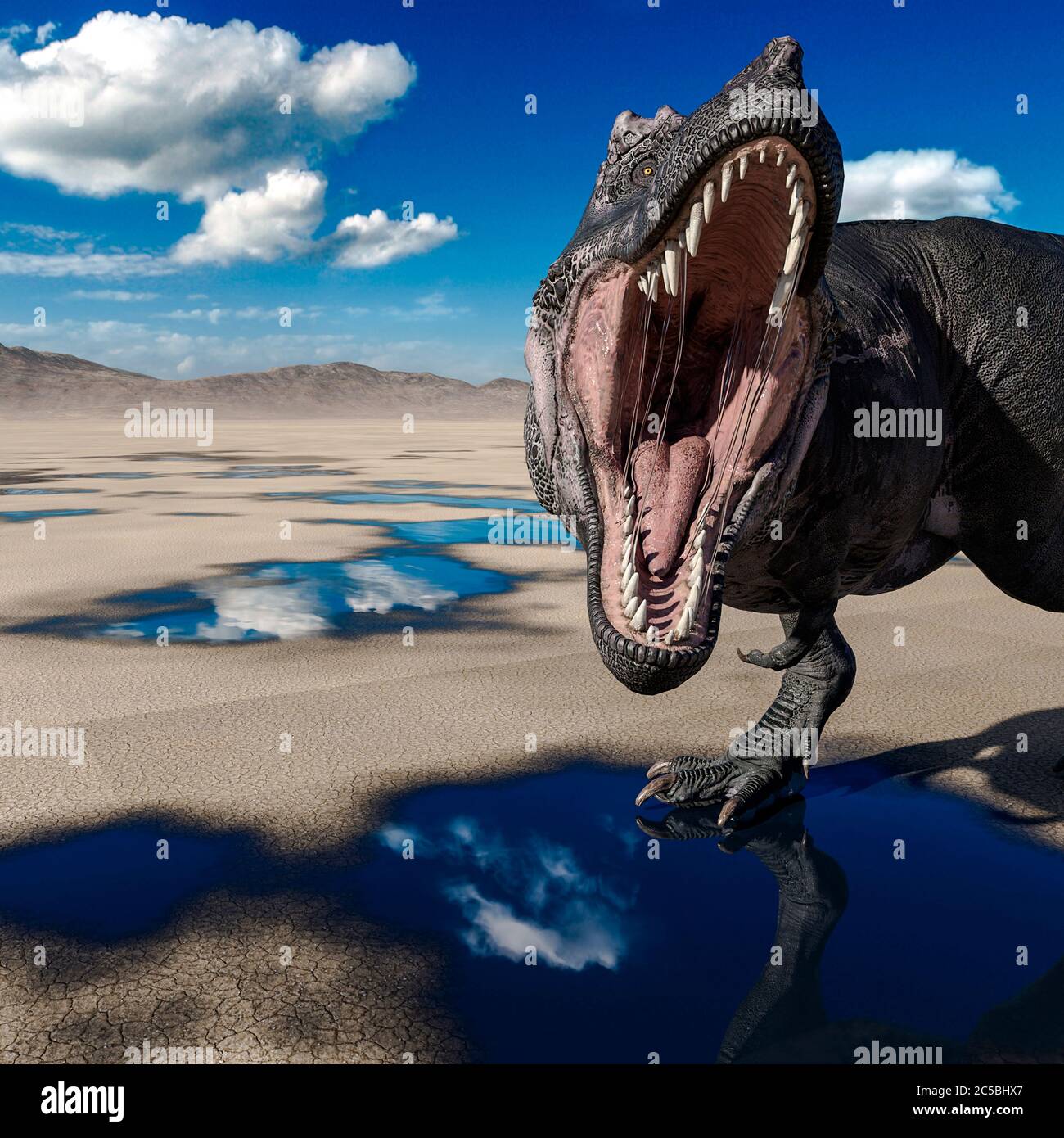 tyrannosaurus rex on desert, 3d illustration Stock Photo - Alamy