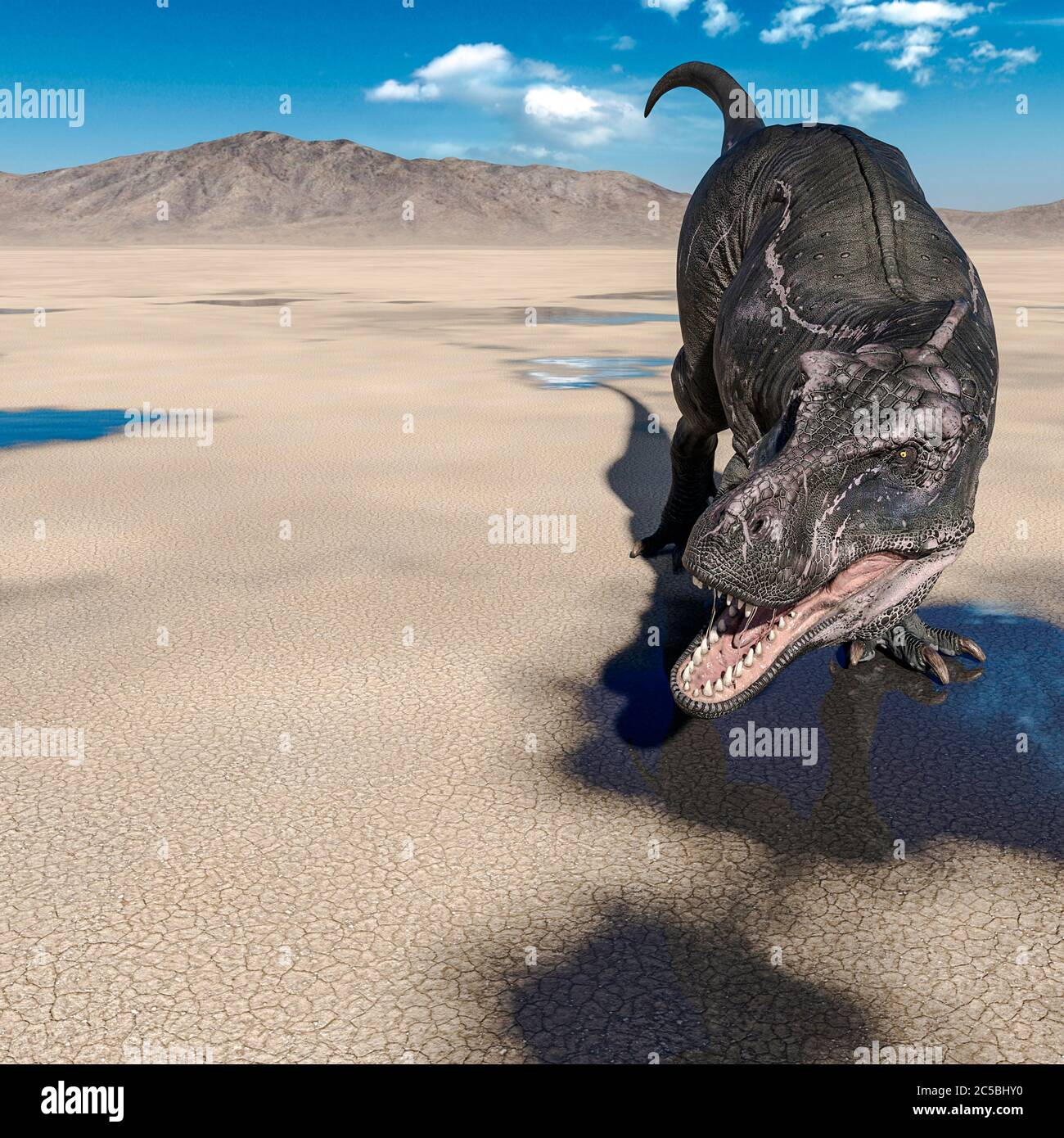 tyrannosaurus rex on desert with copy space, 3d illustration Stock ...