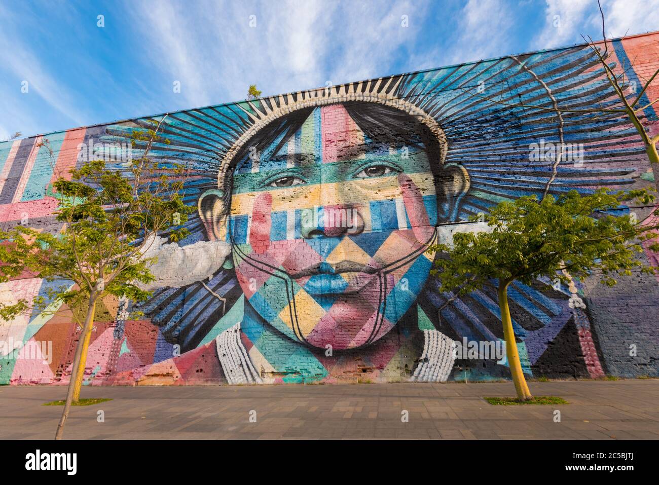 Rio de Janeiro, Brazil - June 30, 2020: Eduardo Kobra's Mural named ...