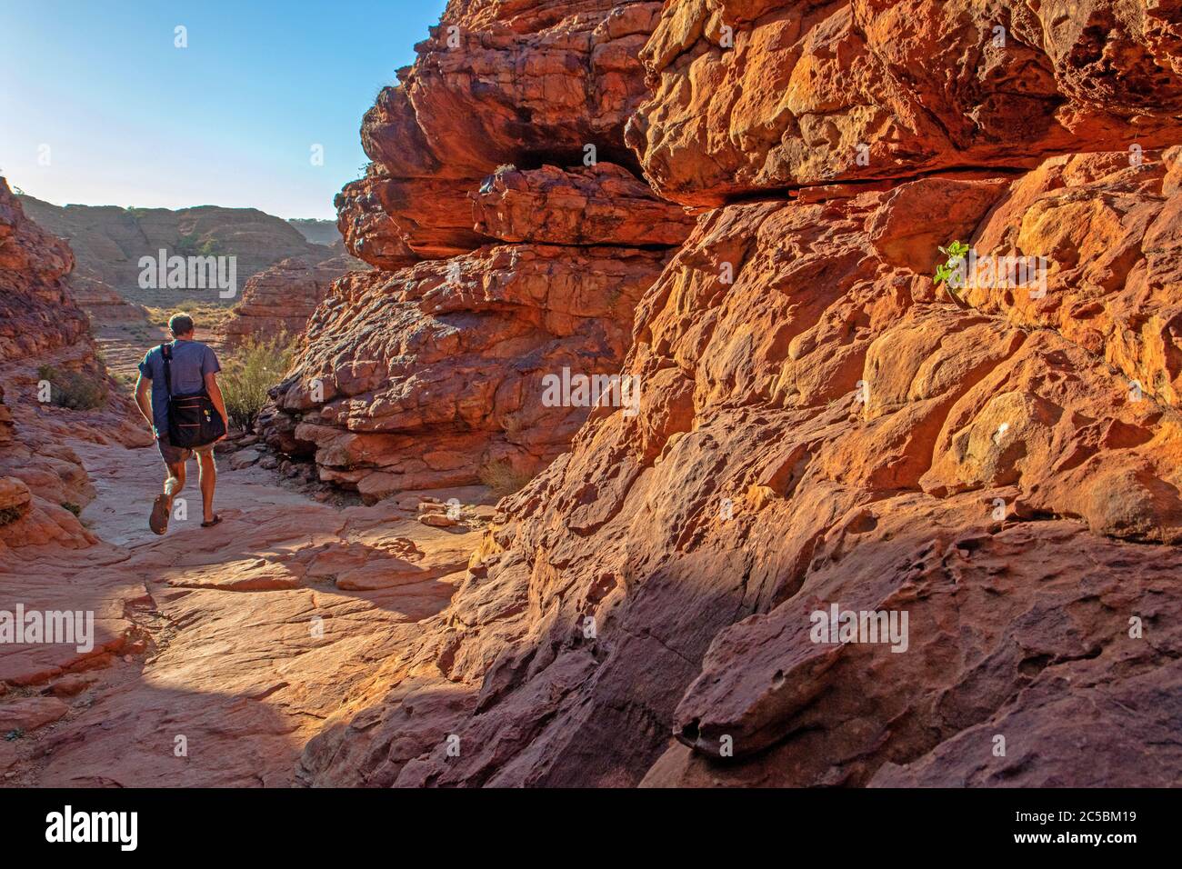 Hiking on the Kings Canyon Rim Walk Stock Photo - Alamy