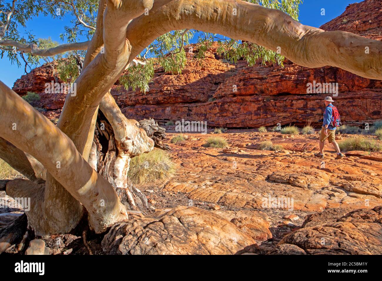 Hiking on the Kings Canyon Rim Walk Stock Photo - Alamy