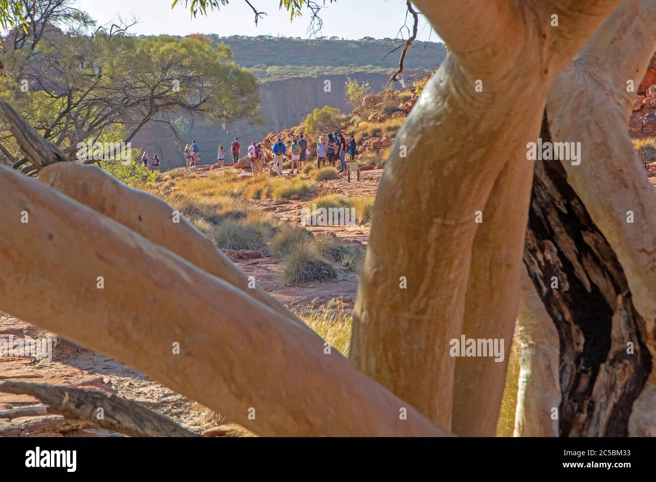 Hiking on the Kings Canyon Rim Walk Stock Photo - Alamy