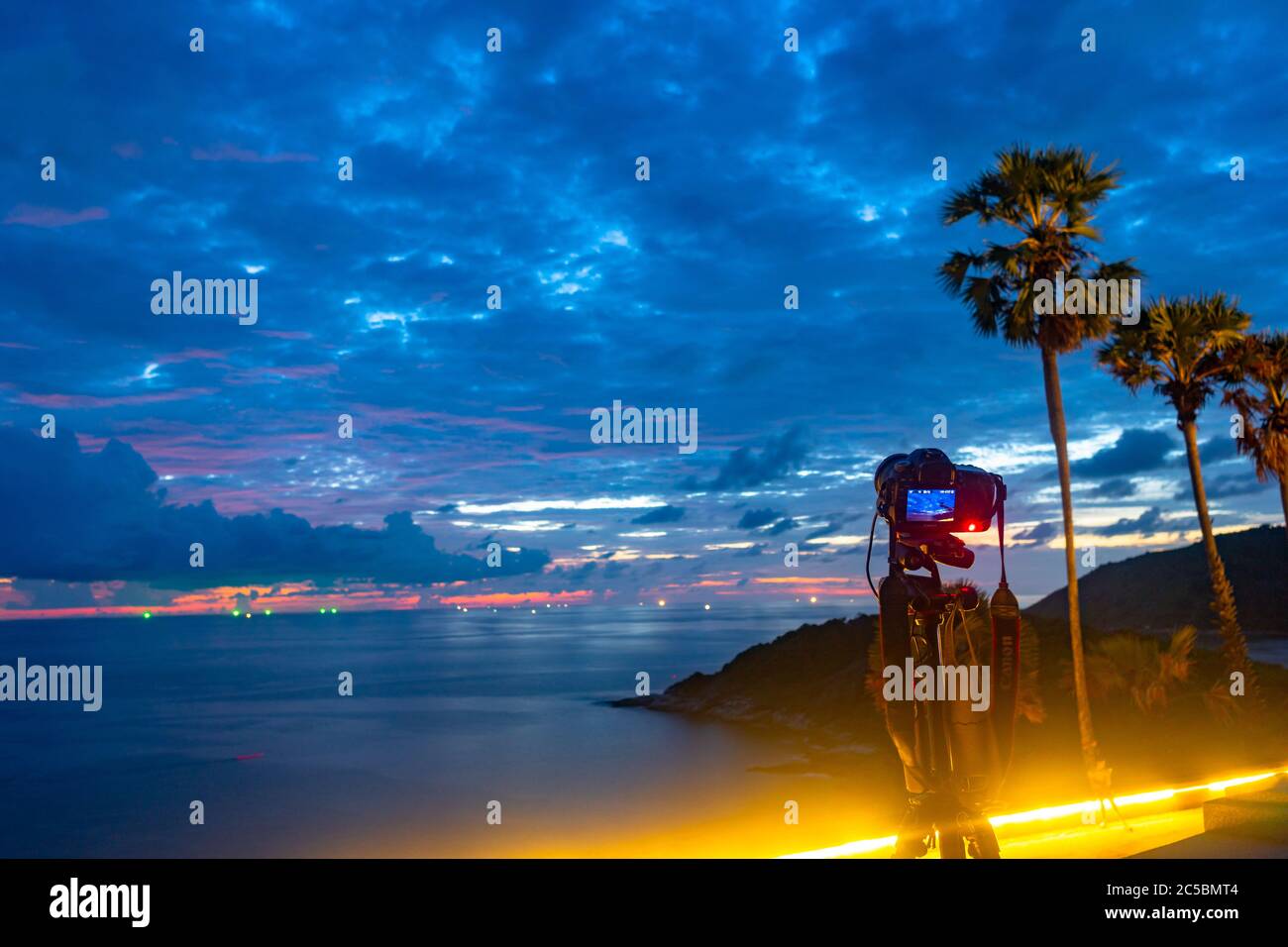 The sugar palm is a symbol of Promthep cape viewpoint. Promthep cape ...