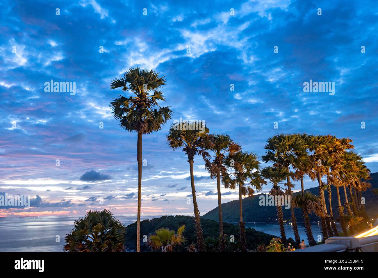 The sugar palm is a symbol of Promthep cape viewpoint. Promthep cape ...