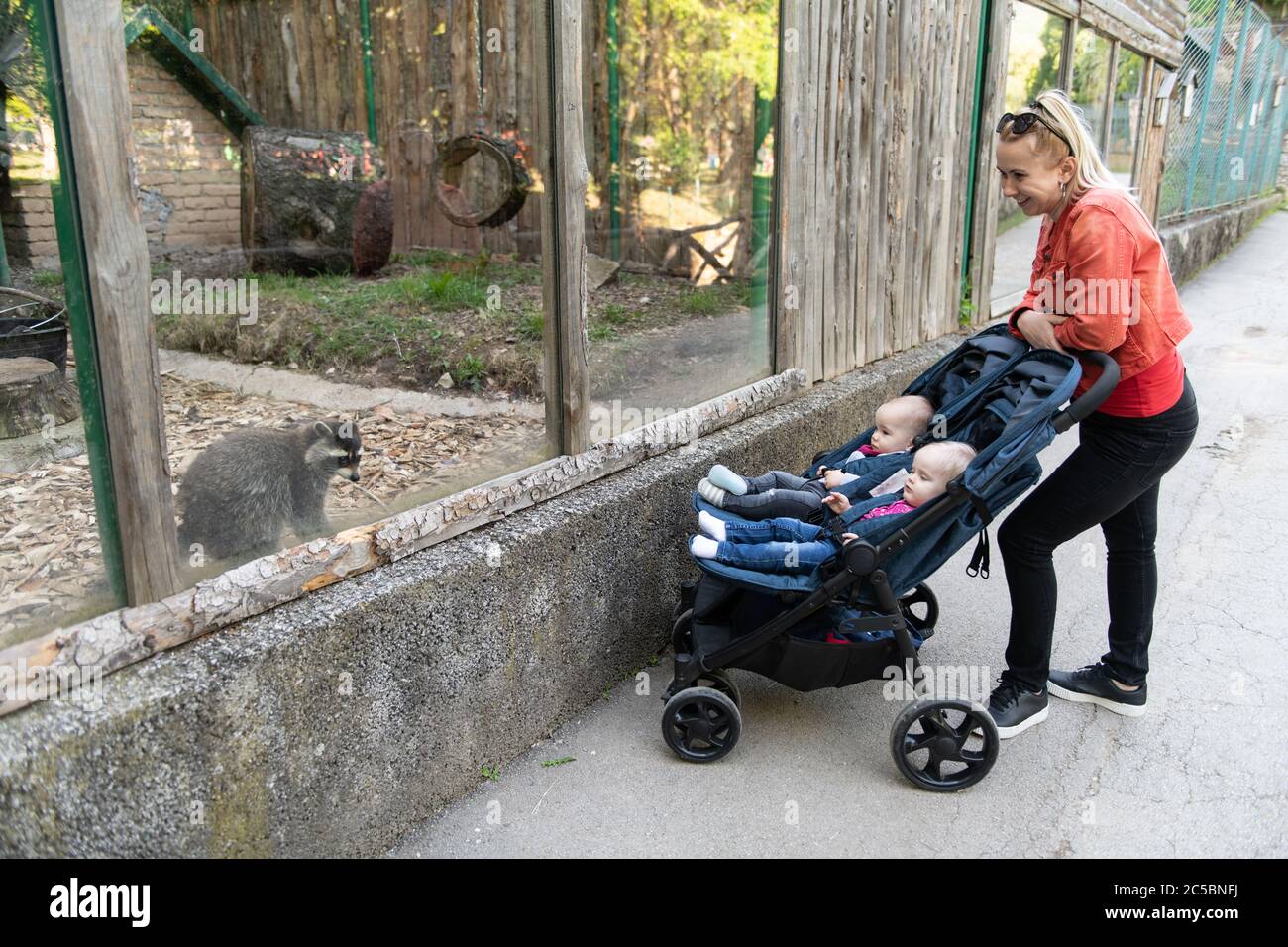 Happy Young Mother With Babies in Buggy Walking in Zoo Park Stock Photo ...