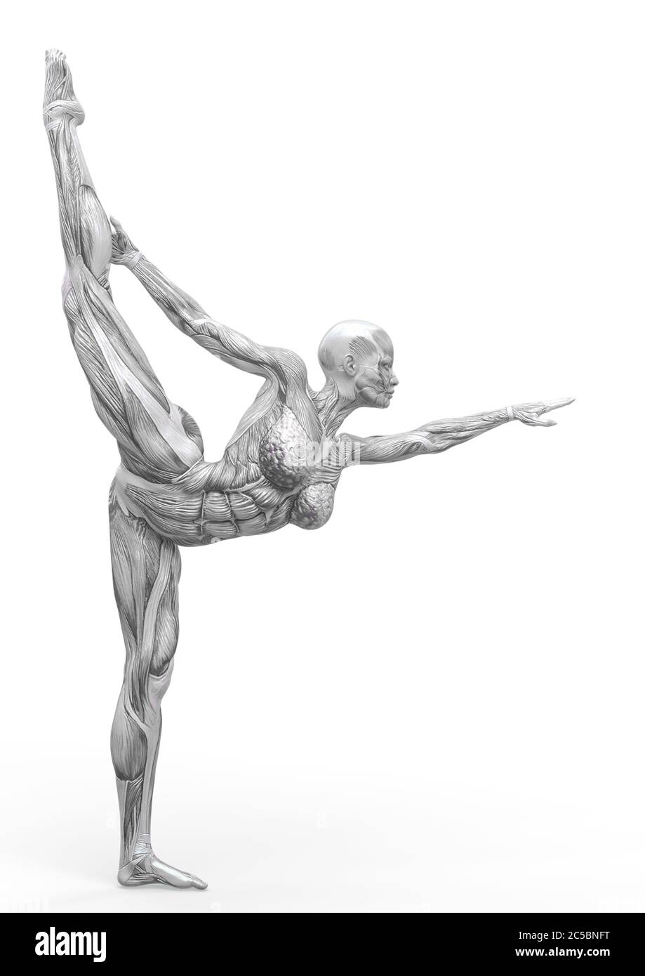 muscle woman doing a stand bow pose in white background, 3d ...