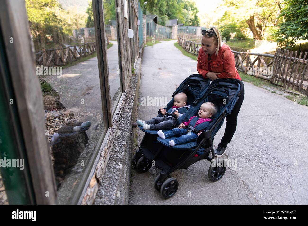 Happy Young Mother With Babies in Buggy Walking in Zoo Park Stock Photo ...