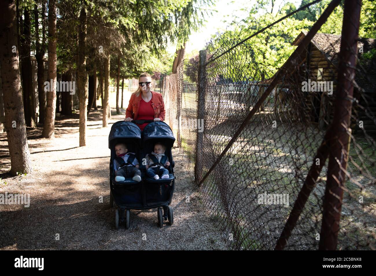 Happy Young Mother With Babies in Buggy Walking in Zoo Park Stock Photo ...