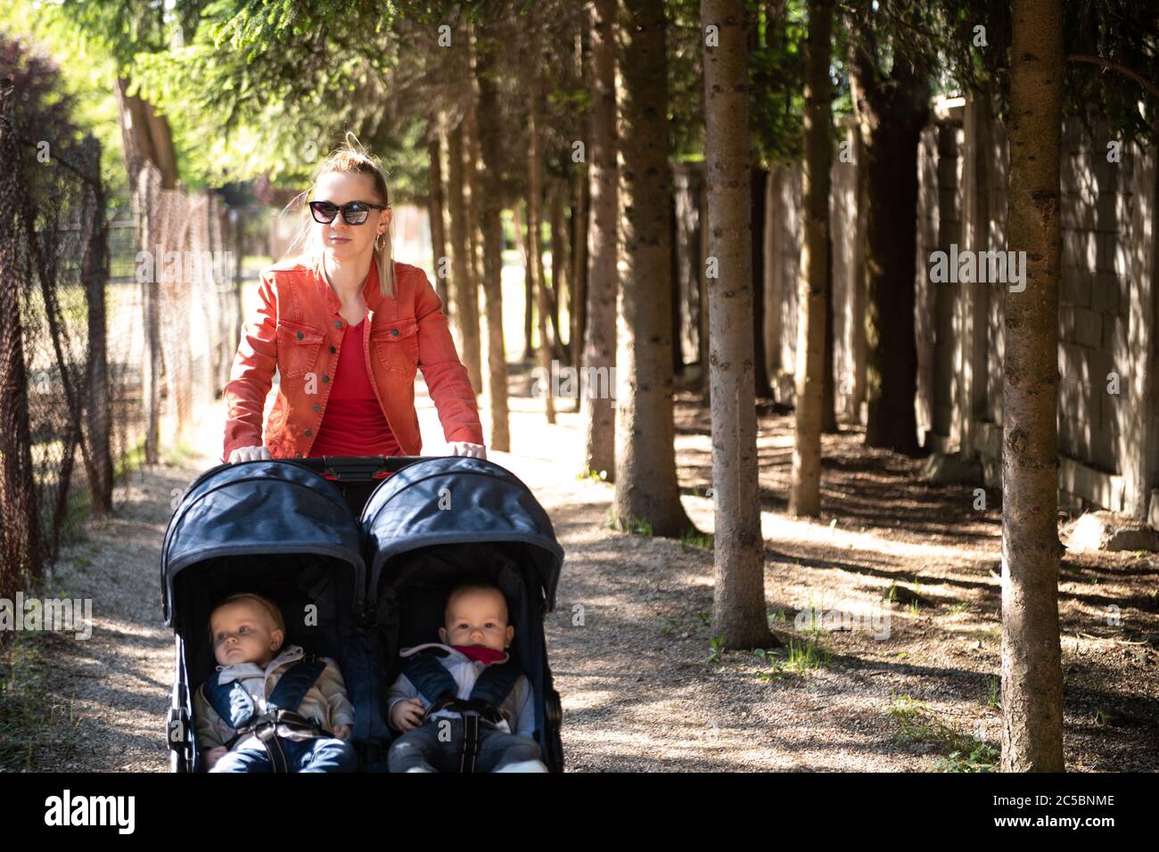 Happy Young Mother With Babies in Buggy Walking in Zoo Park Stock Photo ...