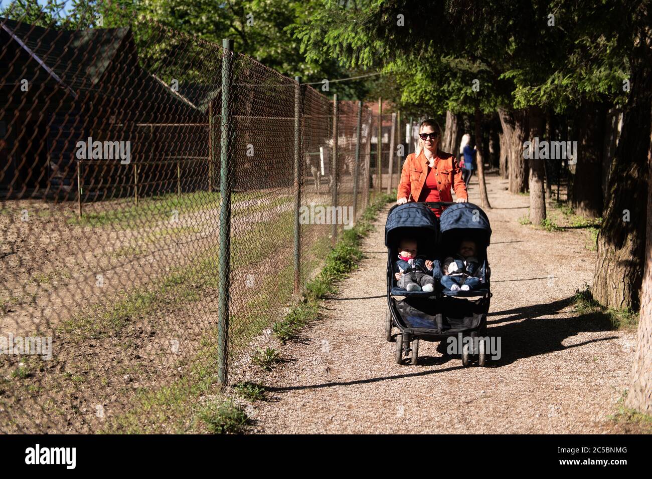 Happy Young Mother With Babies in Buggy Walking in Zoo Park Stock Photo ...