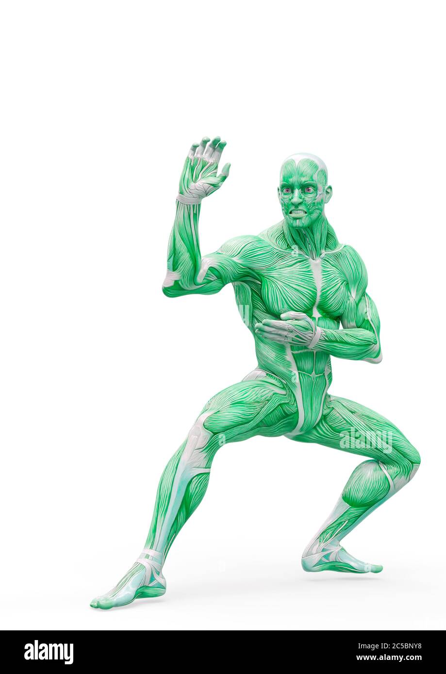 muscleman anatomy heroic body doing a karate pose two in white ...