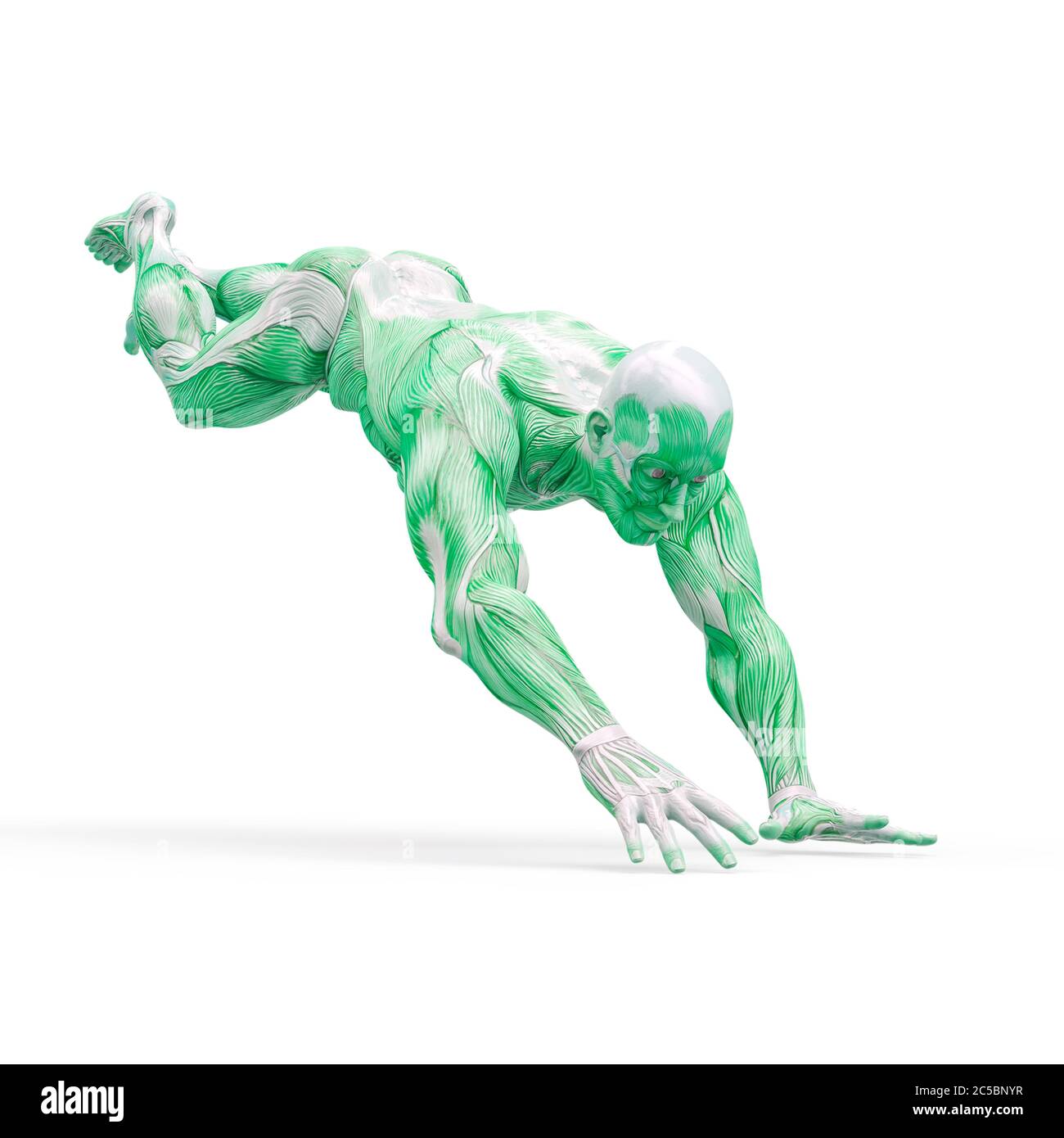 3d green hero landing hi-res stock photography and images - Alamy